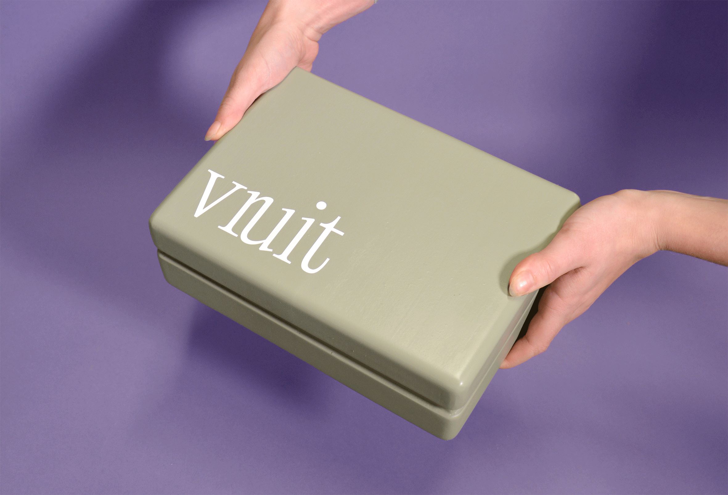 Projekt: Vruit - Sextoy-Set für die Insemination – Hochschule der ...