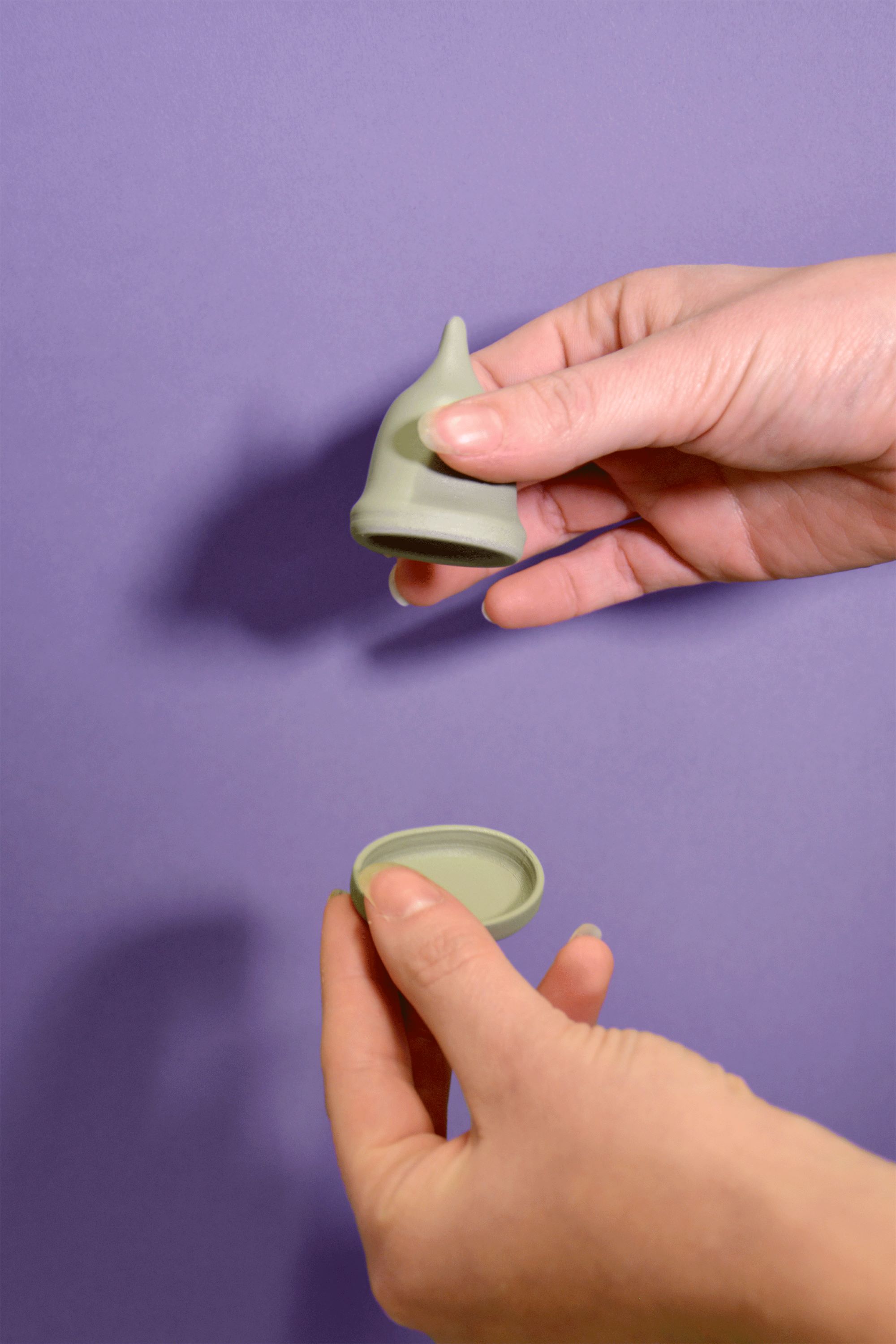 Projekt: Vruit - Sextoy-Set für die Insemination – Hochschule der ...