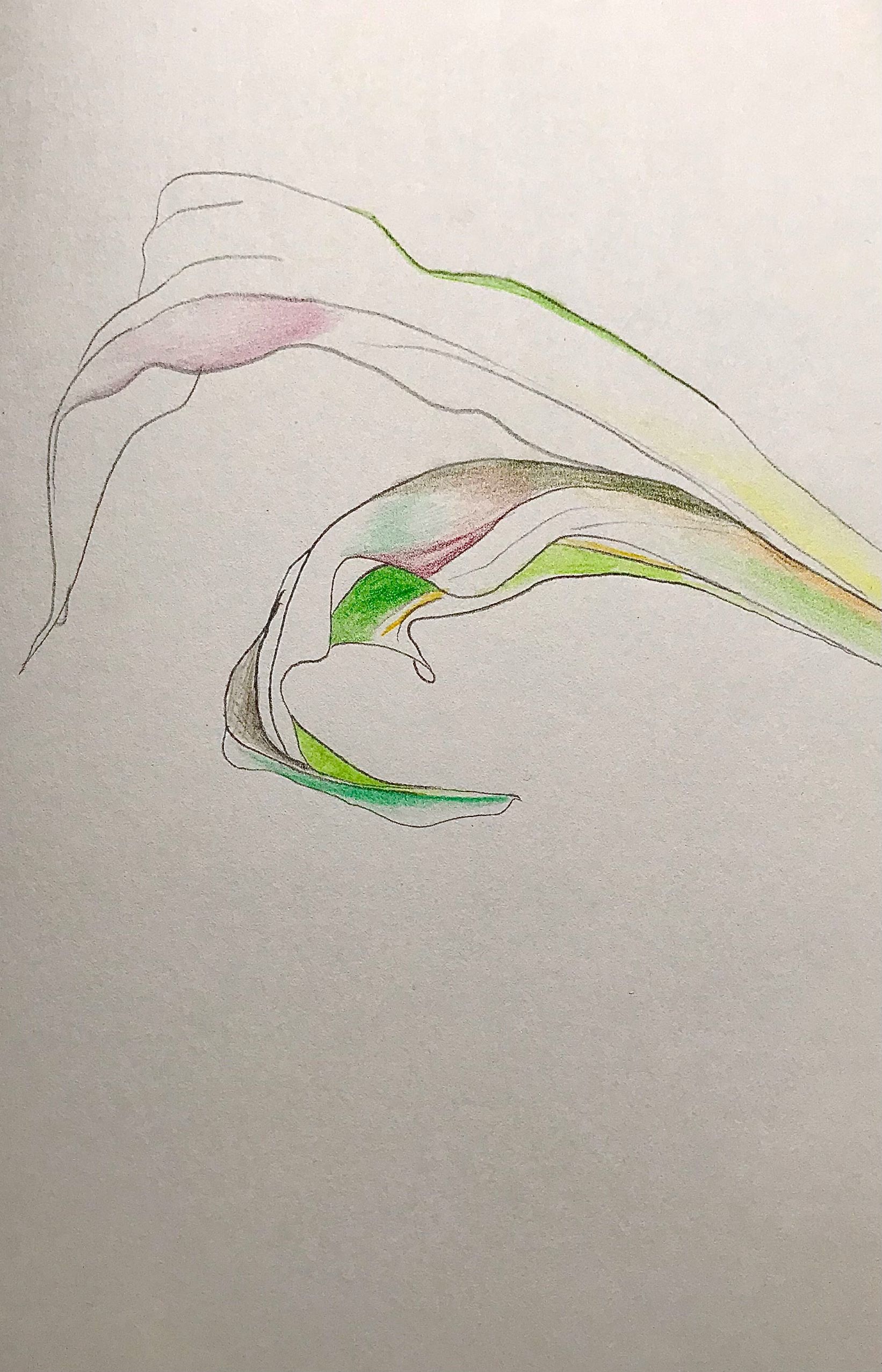 Projekt: Paradigmen und Perspektiven für nachhaltige Bildung im ...